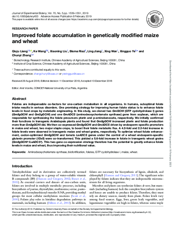 (PDF) Improved folate accumulation in genetically modified maize and wheat