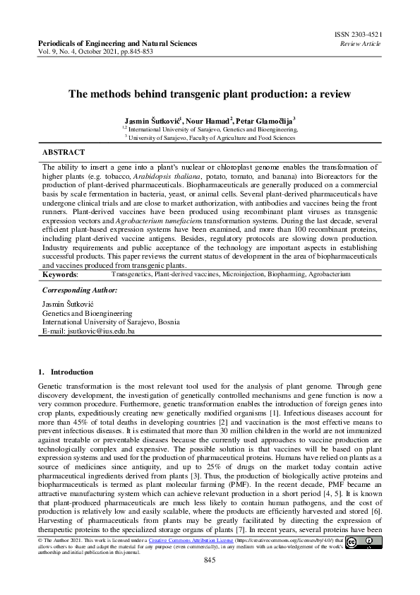 (PDF) The methods behind transgenic plant production: a review