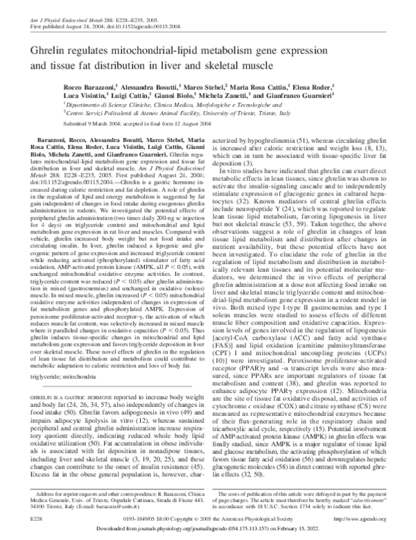 (PDF) Ghrelin regulates mitochondrial-lipid metabolism gene expression ...