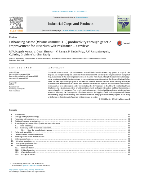 (PDF) Enhancing castor (Ricinus communis L.) productivity through ...