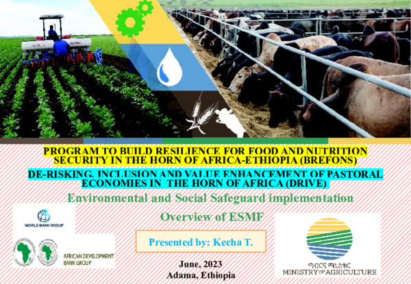 (PPT) Regional ESS for presentation