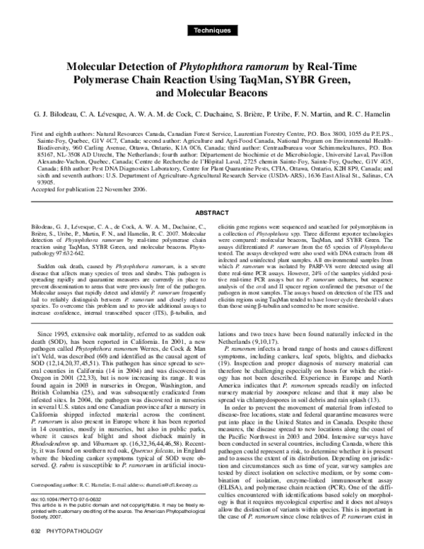 (PDF) Molecular Detection of Phytophthora ramorum by Real-Time Polymerase Chain Reaction Using ...