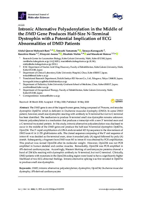 (PDF) Intronic Alternative Polyadenylation in the Middle of the DMD ...