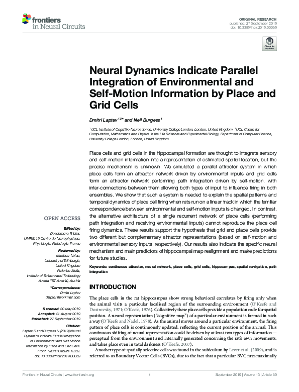 (PDF) Neural Dynamics Indicate Parallel Integration of Environmental and Self-Motion Information ...