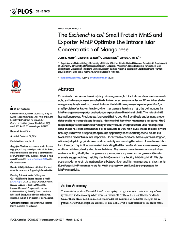 (PDF) The Escherichia coli Small Protein MntS and Exporter MntP ...