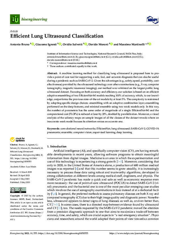 (PDF) Efficient Lung Ultrasound Classification (PDF) Efficient Lung Ultrasound Classification