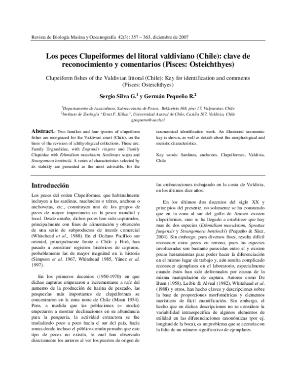 (PDF) The rare zoarcid fish Ophthalmolycus macrops (Günther, 1880 ...