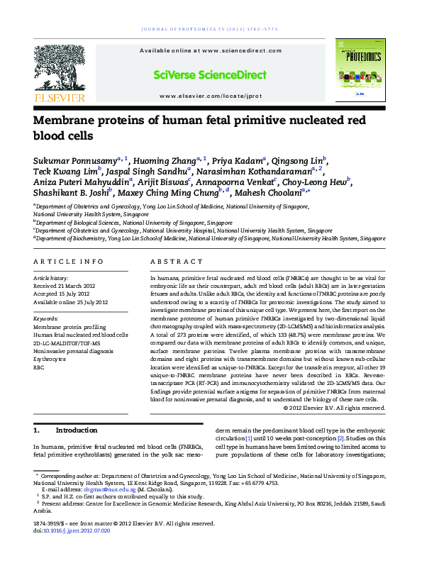 (PDF) Membrane proteins of human fetal primitive nucleated red blood cells