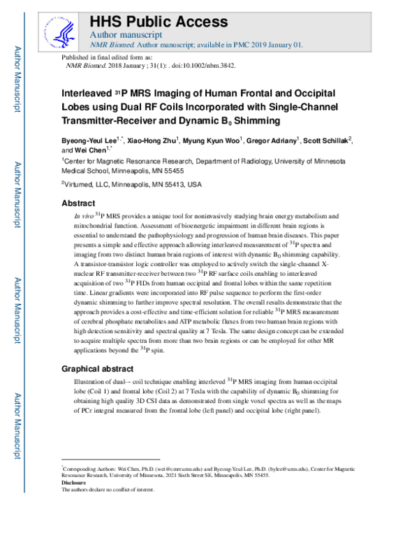 (PDF) Interleaved (31) P MRS imaging of human frontal and occipital ...