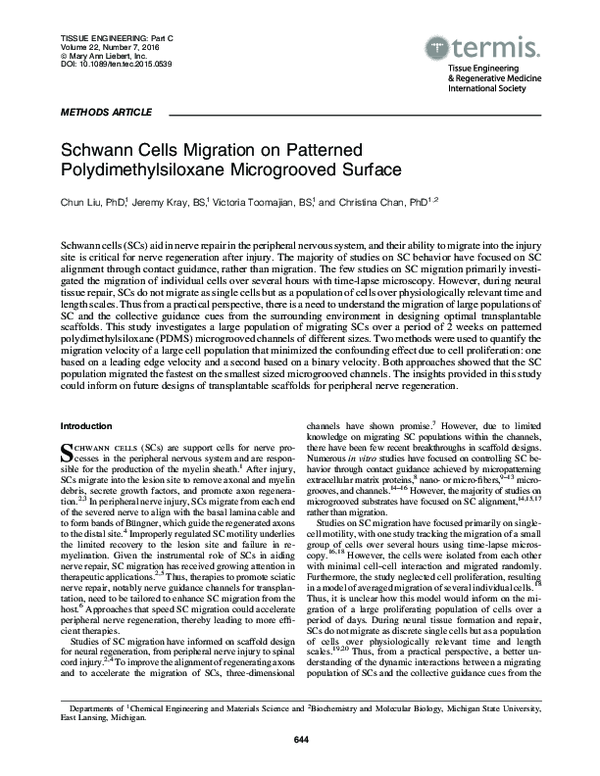 (PDF) Schwann Cell Migration on Patterned PDMS Microgrooved Surface