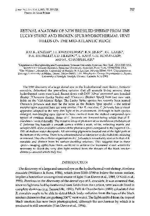(PDF) Retinal Anatomy of New Bresiliid Shrimp from the Lucky Strike and ...