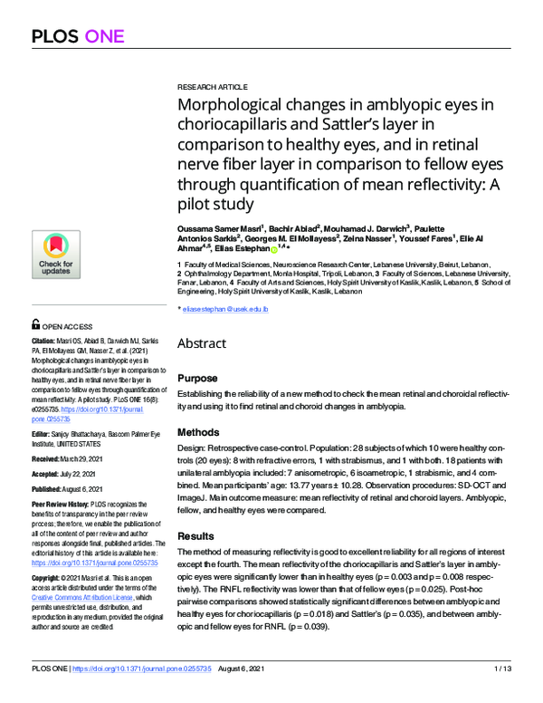 (PDF) Morphological changes in amblyopic eyes in choriocapillaris and Sattler’s layer in ...