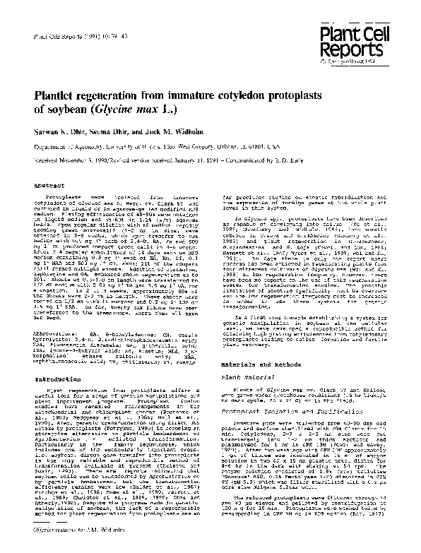 (PDF) Plantlet regeneration from immature cotyledon protoplasts of ...