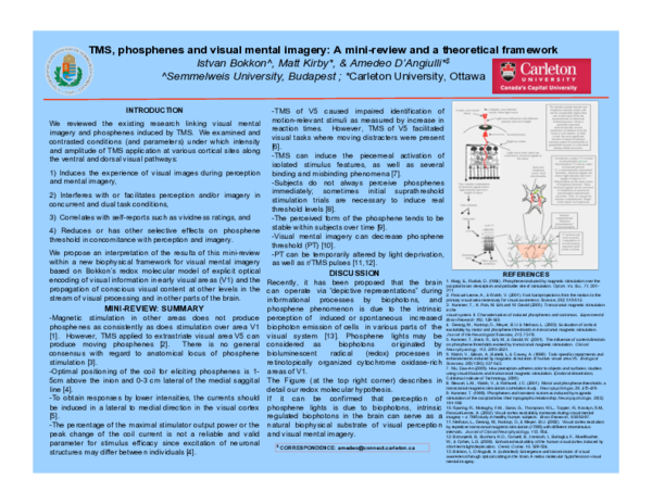 (PDF) TMS, phosphenes and visual mental imagery: A mini-review and a ...