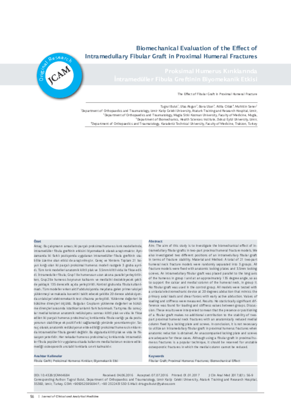 (PDF) Biomechanical Evaluation of the Effect of Intramedullary Fibular Graft in Proximal Humeral ...
