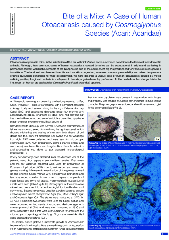(PDF) Bite of a Mite: A Case of Human Otoacariasis caused by ...
