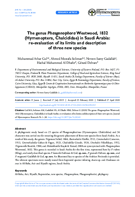 (PDF) The genus Phasgonophora Westwood, 1832 (Hymenoptera, Chalcididae ...