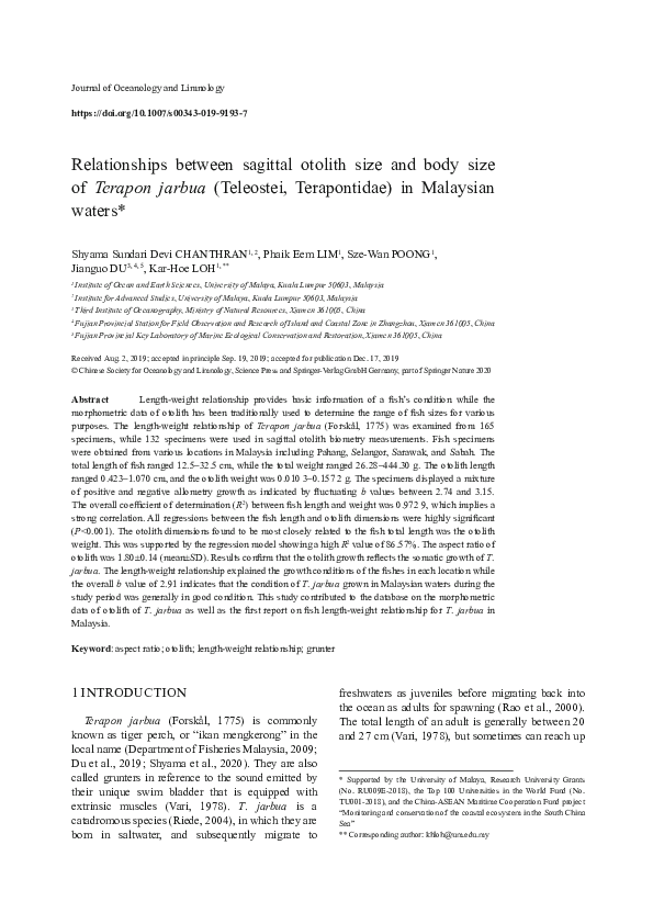 (PDF) Relationships between sagittal otolith size and body size of ...