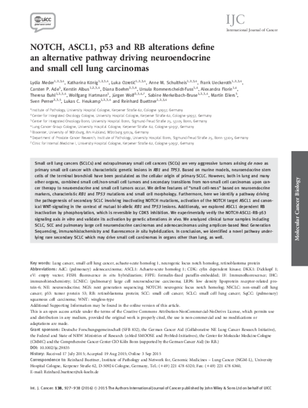 (PDF) NOTCH , ASCL1 , p53 and RB alterations define an alternative ...