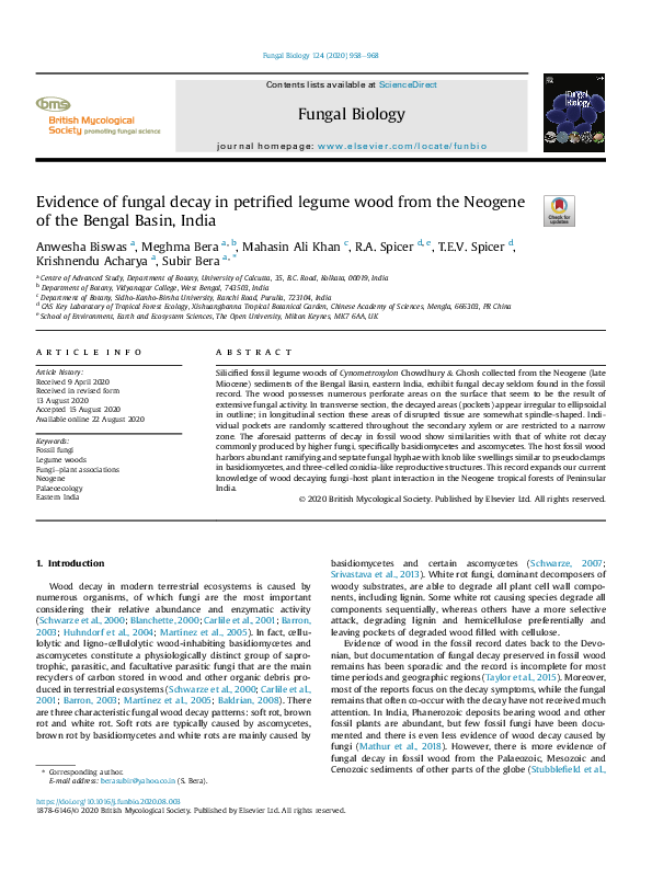 (PDF) Evidence of fungal decay in petrified legume wood from the ...