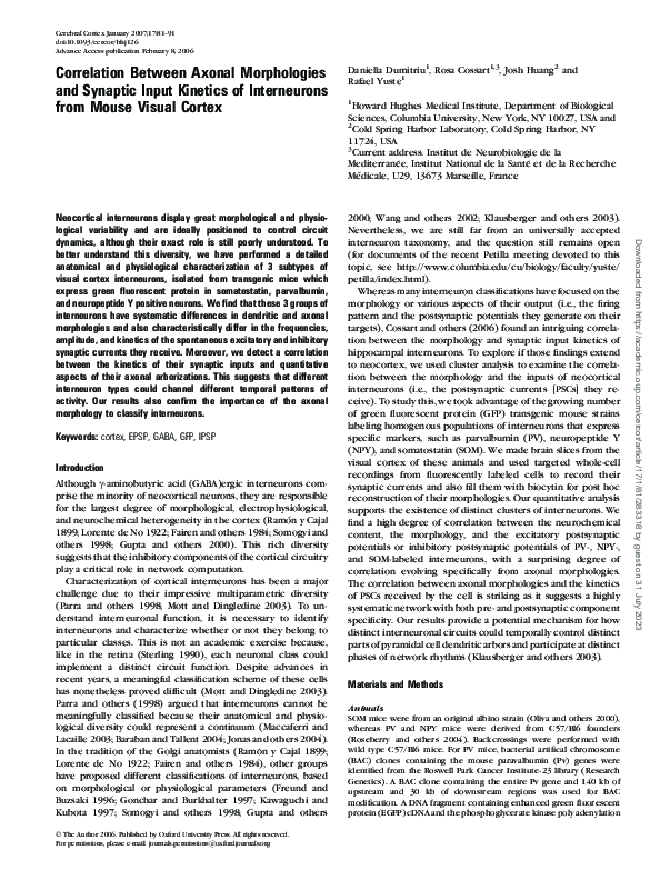 (PDF) Correlation Between Axonal Morphologies and Synaptic Input Kinetics of Interneurons from ...
