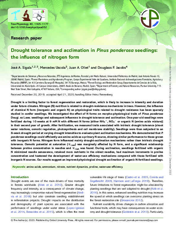 Pdf Drought Tolerance And Acclimation In Pinus Ponderosa Seedlings