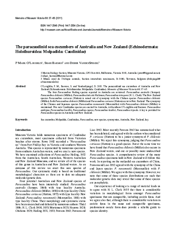 (PDF) The paracaudinid sea cucumbers of Australia and New Zealand ...