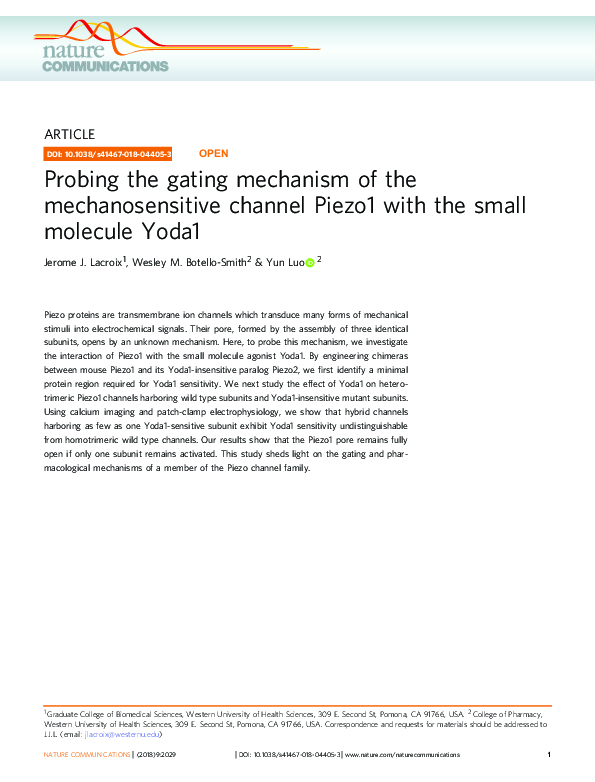 (PDF) Probing the gating mechanism of the mechanosensitive channel ...