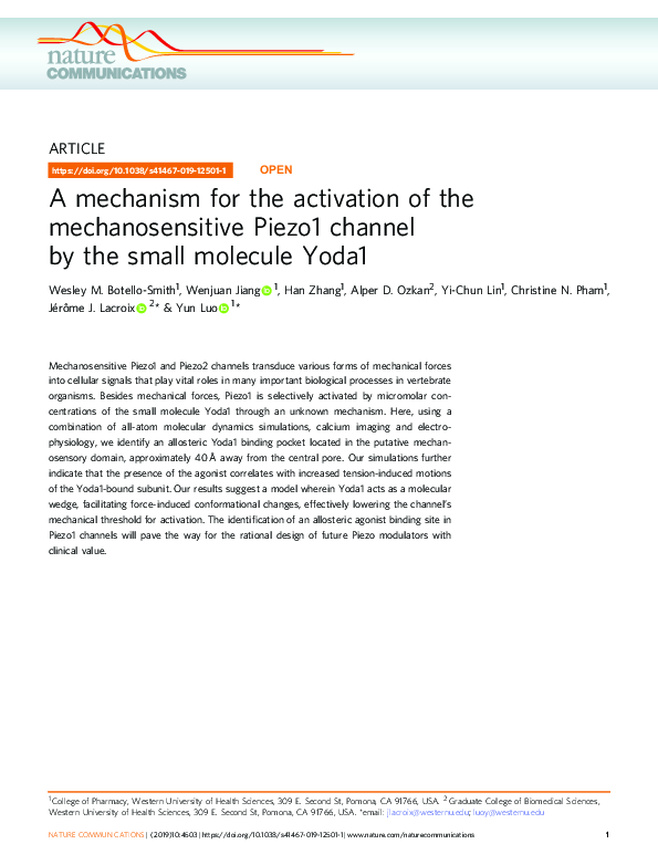 (PDF) A mechanism for the activation of the mechanosensitive Piezo1 channel by the small ...