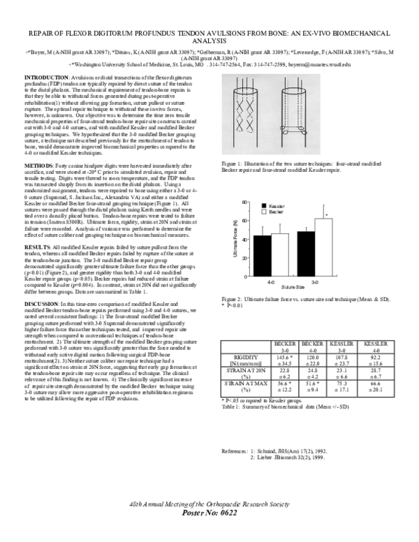 (PDF) Repair of flexor digitorum profundus tendon avulsions from bone ...