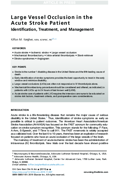 (PDF) Large Vessel Occlusion in the Acute Stroke Patient