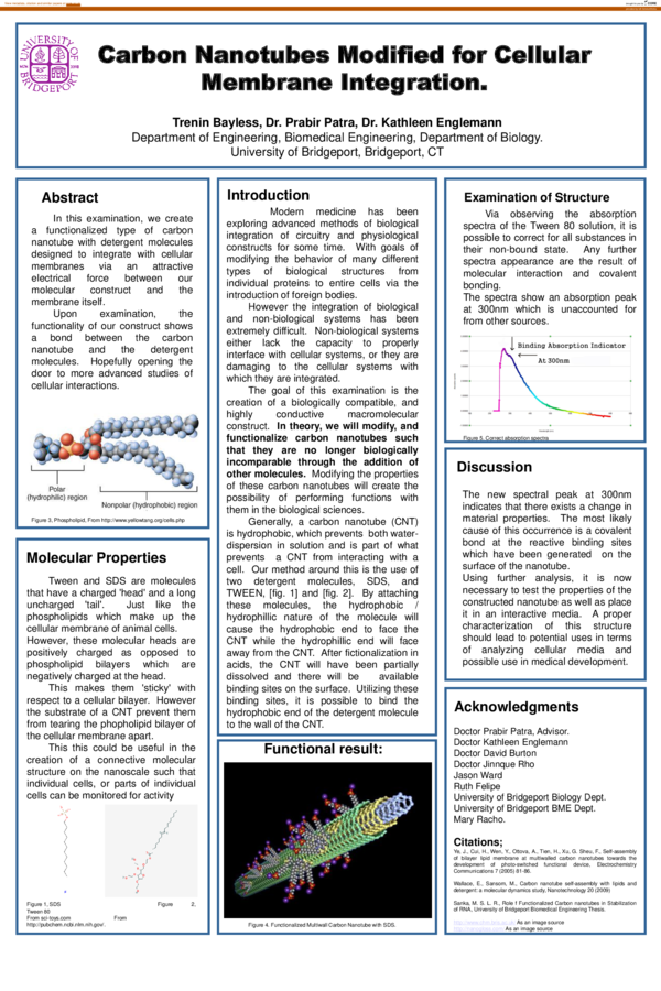 (PDF) Carbon Nanotubes Modified for Cellular Membrane Integration