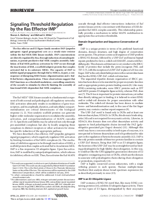 (PDF) Signaling Threshold Regulation by the Ras Effector IMP