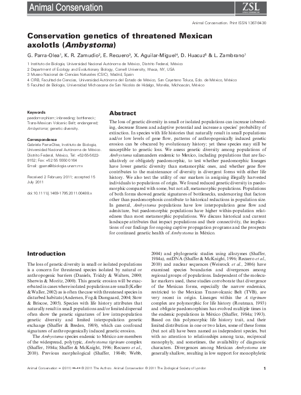 (PDF) Conservation genetics of threatened Mexican axolotls (Ambystoma)