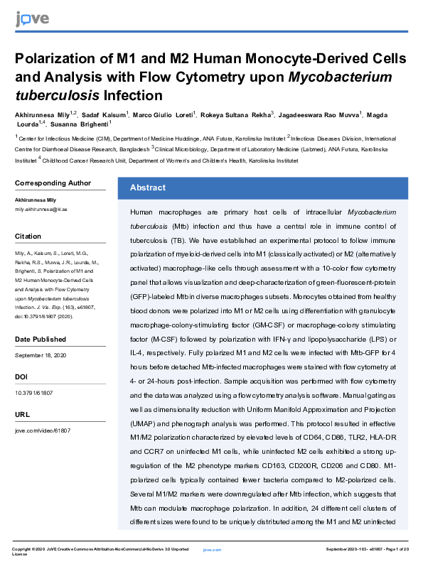 (PDF) Polarization of M1 and M2 Human Monocyte-Derived Cells and ...