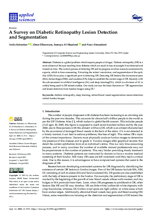 (PDF) A Survey on Diabetic Retinopathy Lesion Detection and Segmentation