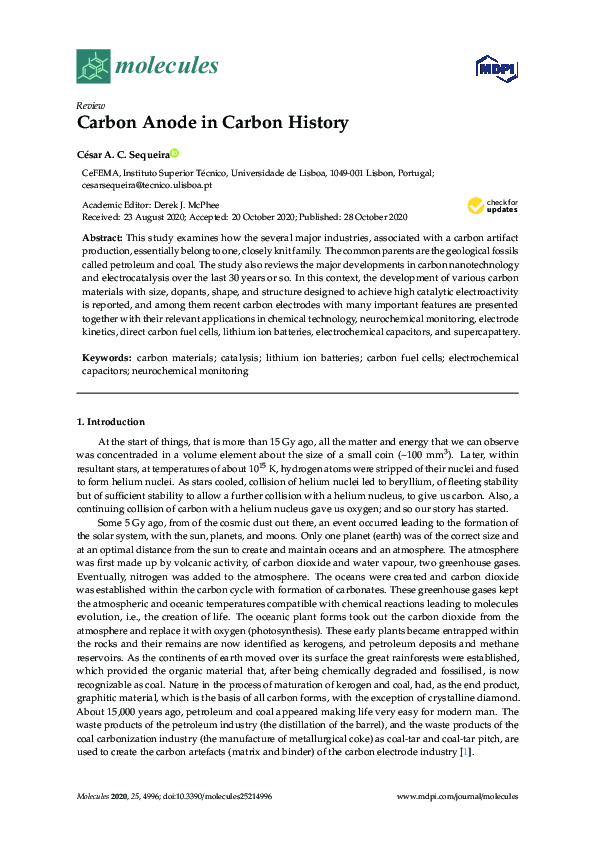 Carbon Anode in Carbon History