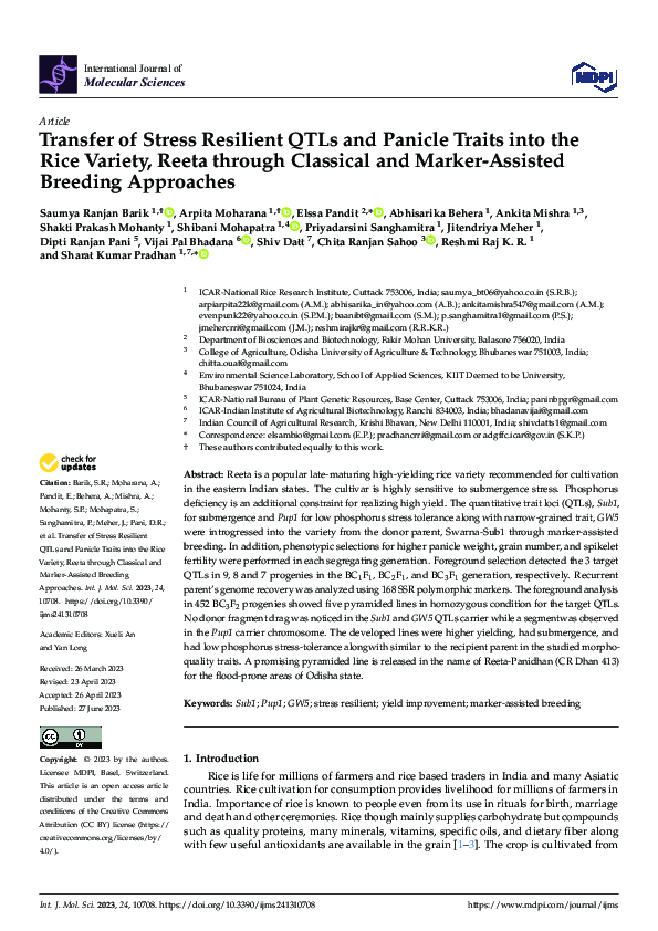 (PDF) Transfer of Stress Resilient QTLs and Panicle Traits into the Rice Variety, Reeta through ...