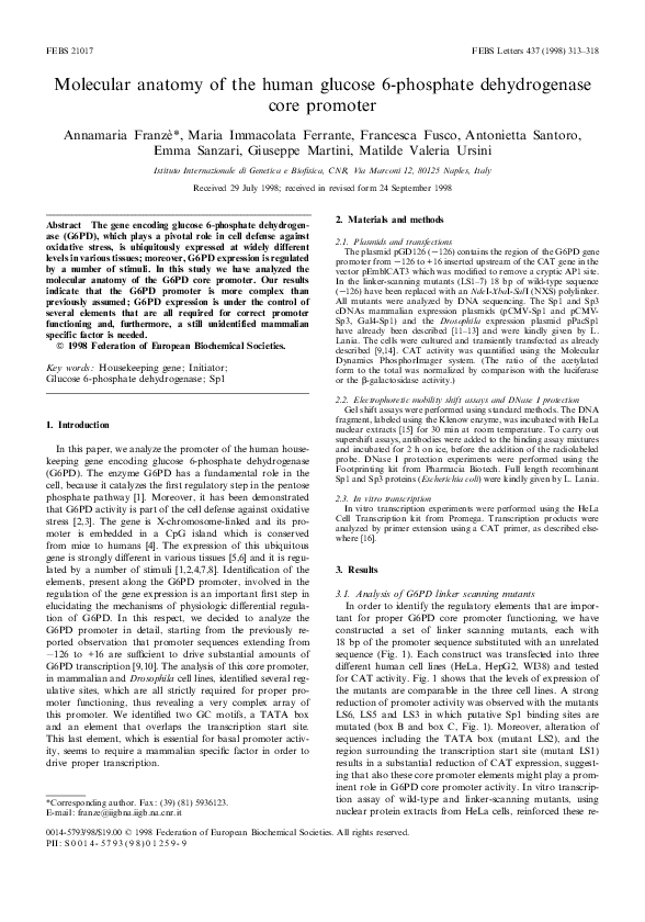 Pdf Molecular Anatomy Of The Human Glucose 6 Phosphate Dehydrogenase Core Promoter Francesca