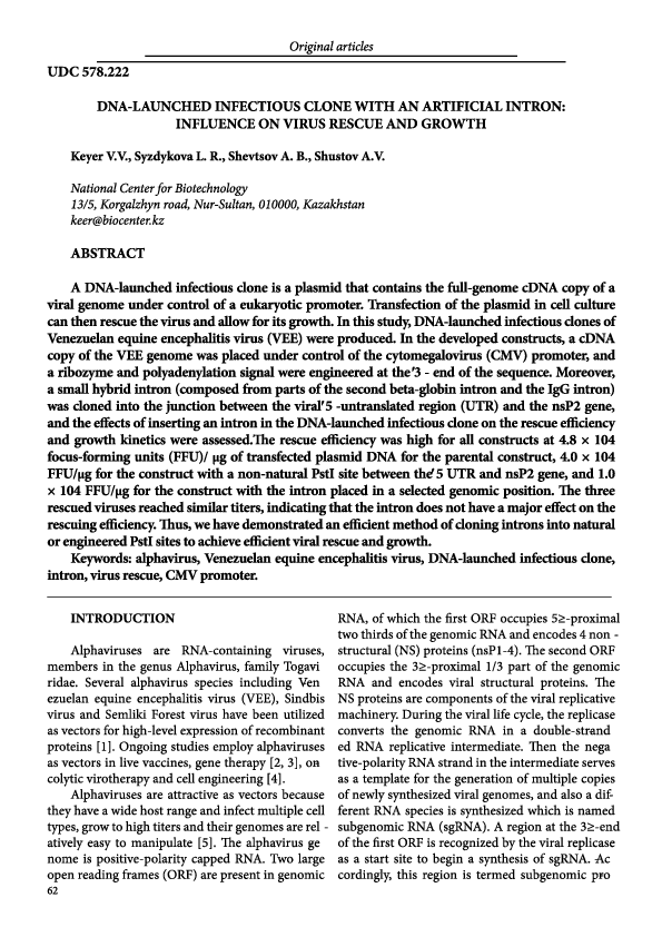 (PDF) Dna-Launched Infectious Clone with an Artificial Intron ...