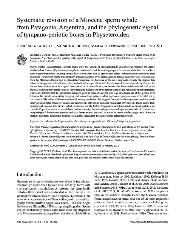 (PDF) Systematic revision of a Miocene sperm whale from Patagonia ...