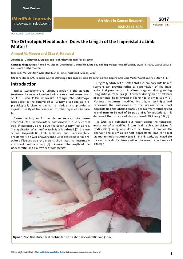 (PDF) The Orthotopic Neobladder: Does the Length of the Isoperistaltic ...