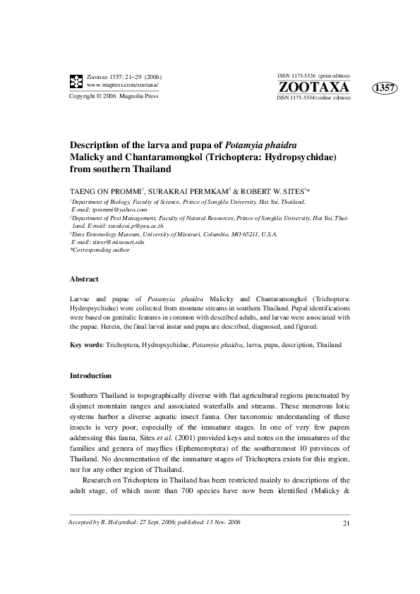 (PDF) Description of the larva and pupa of Potamyia phaidra Malicky and ...