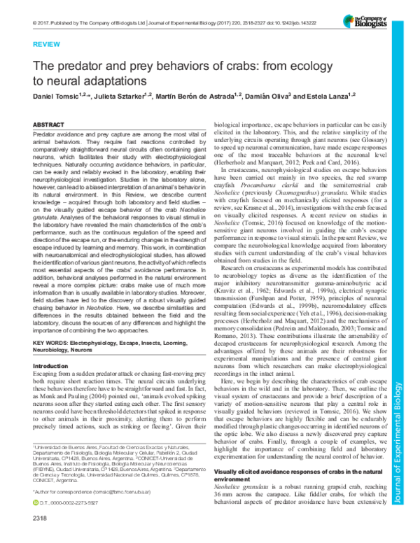 (PDF) The predator and prey behaviors of crabs: from ecology to neural ...