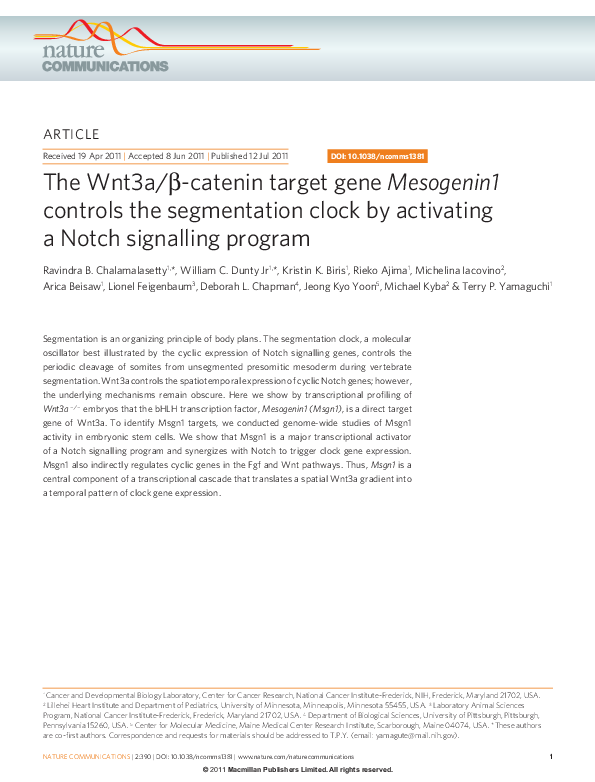 (PDF) The Wnt3a/β-catenin target gene Mesogenin1 controls the ...