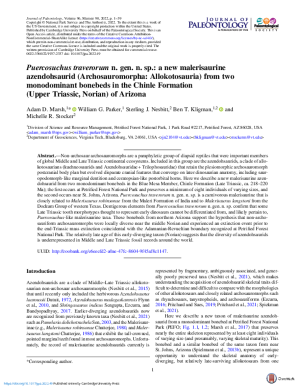 (PDF) Puercosuchus traverorum n. gen. n. sp.: a new malerisaurine ...