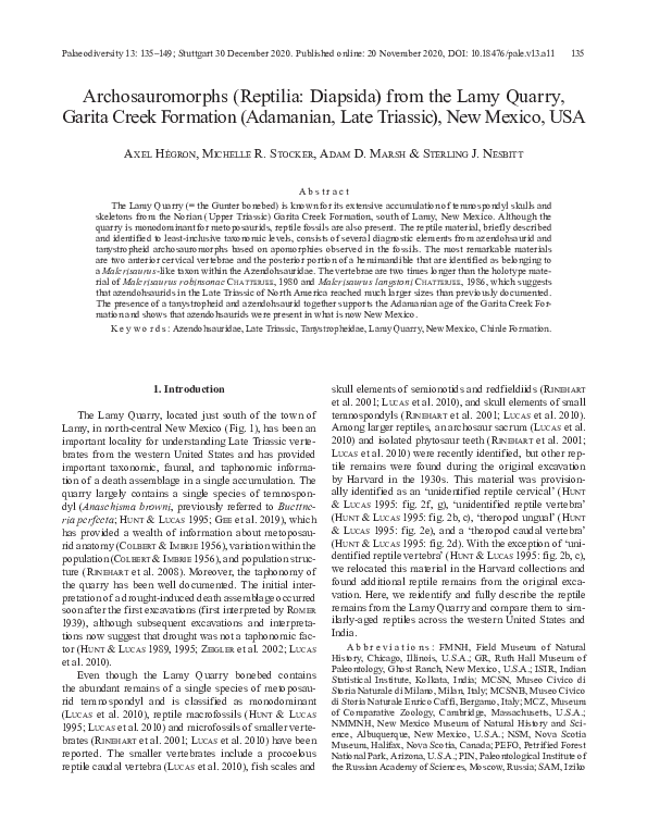 (PDF) Archosauromorphs (Reptilia: Diapsida) from the Lamy Quarry ...