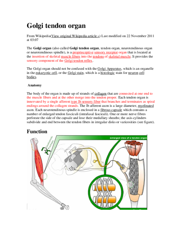 (PDF) The golgi tendon organ | Uwe Proske - Academia.edu