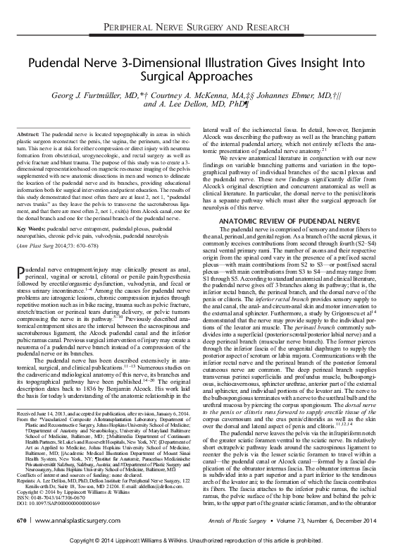 (PDF) Pudendal Nerve 3-Dimensional Illustration Gives Insight Into ...