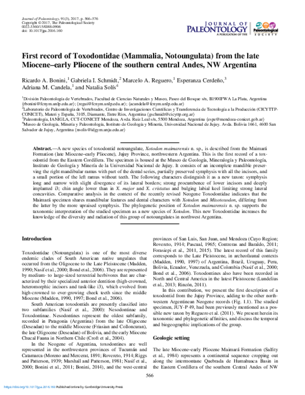 (PDF) First record of Toxodontidae (Mammalia, Notoungulata) from the ...